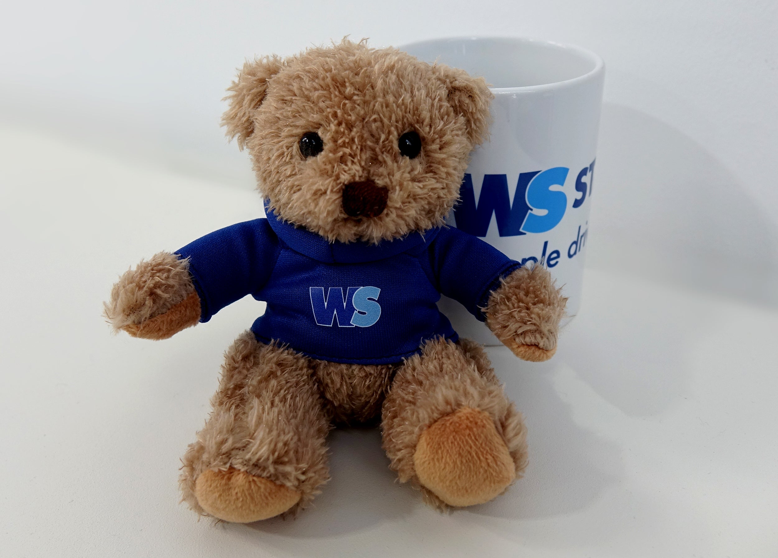 WS Teddy Bear – WS Transportation